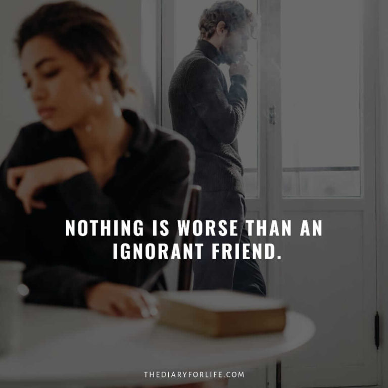50+ Quotes On Ignorance In Love, Friendship And Life