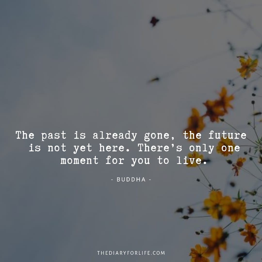 50+ Inspirational Buddha Quotes With Images