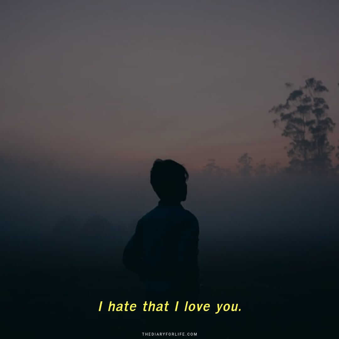 70+ Adorable Aesthetic Love Quotes With Images - ThediaryforLife