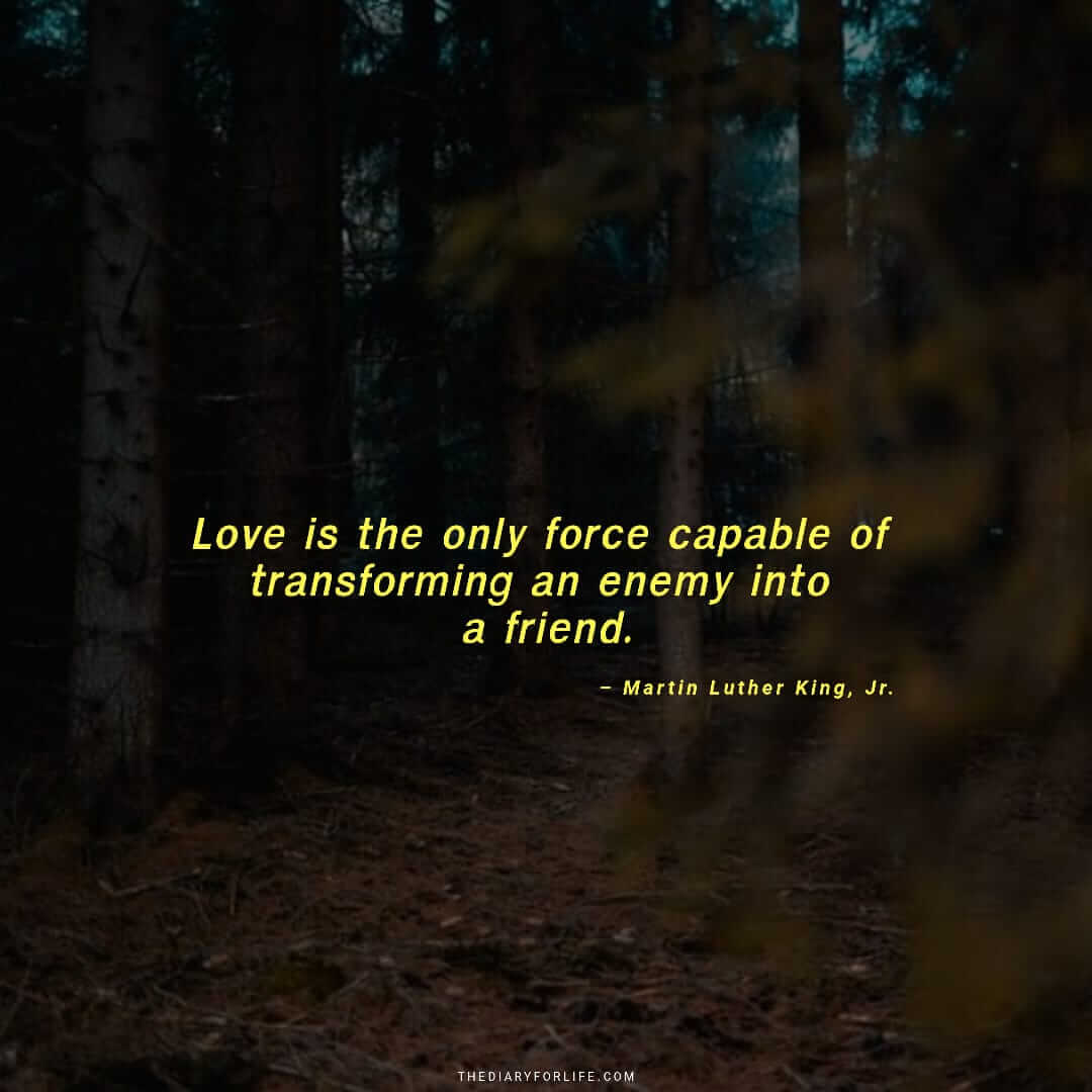 70+ Adorable Aesthetic Love Quotes With Images - ThediaryforLife