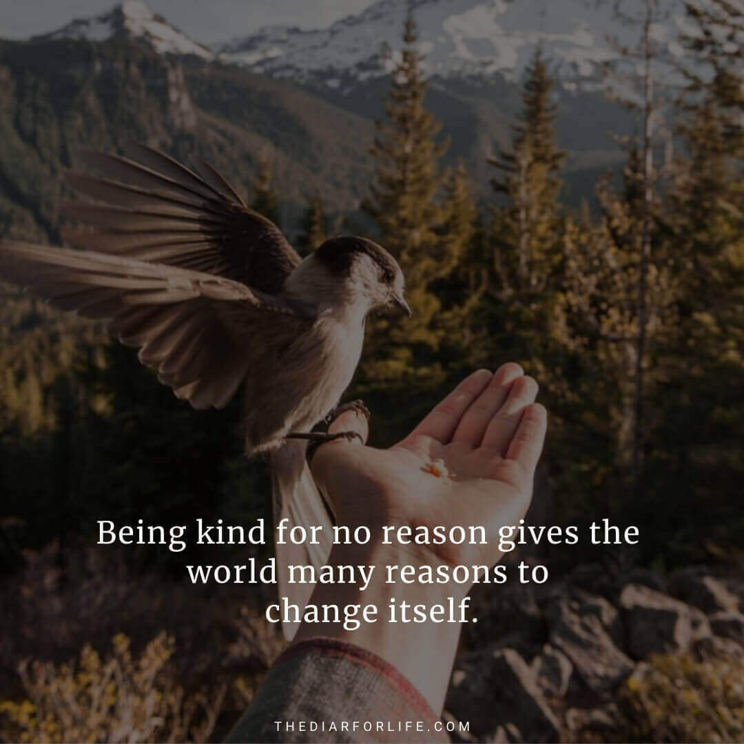 35 Inspirational Quotes About Changing The World And Making A Difference