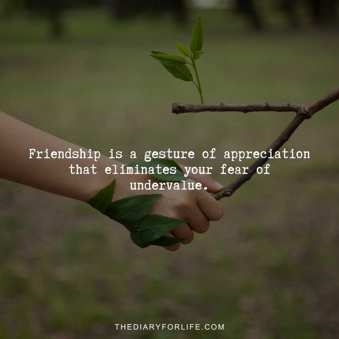 75+ Quotes About Not Being Appreciated And Feeling Unappreciated