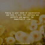 75+ Quotes About Not Being Appreciated And Feeling Unappreciated