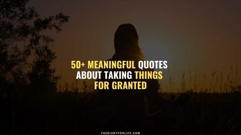 50+ Meaningful Quotes About Taking Things For Granted