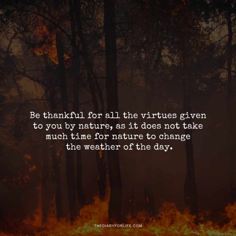 50+ Meaningful Quotes About Taking Things For Granted