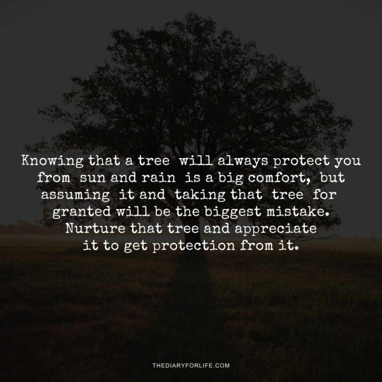 50+ Meaningful Quotes About Taking Things For Granted