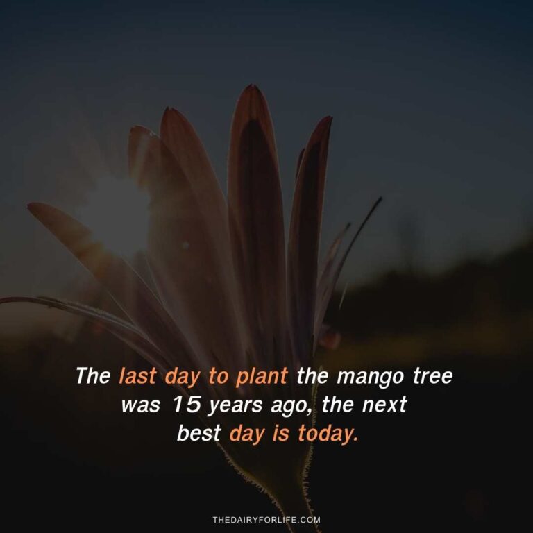 70+ Inspirational Quotes About Becoming A Better Me And Working On Yourself