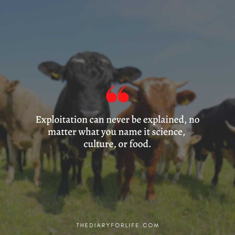 45+ Quotes About Animal Abuse To Stop Animal Cruelty