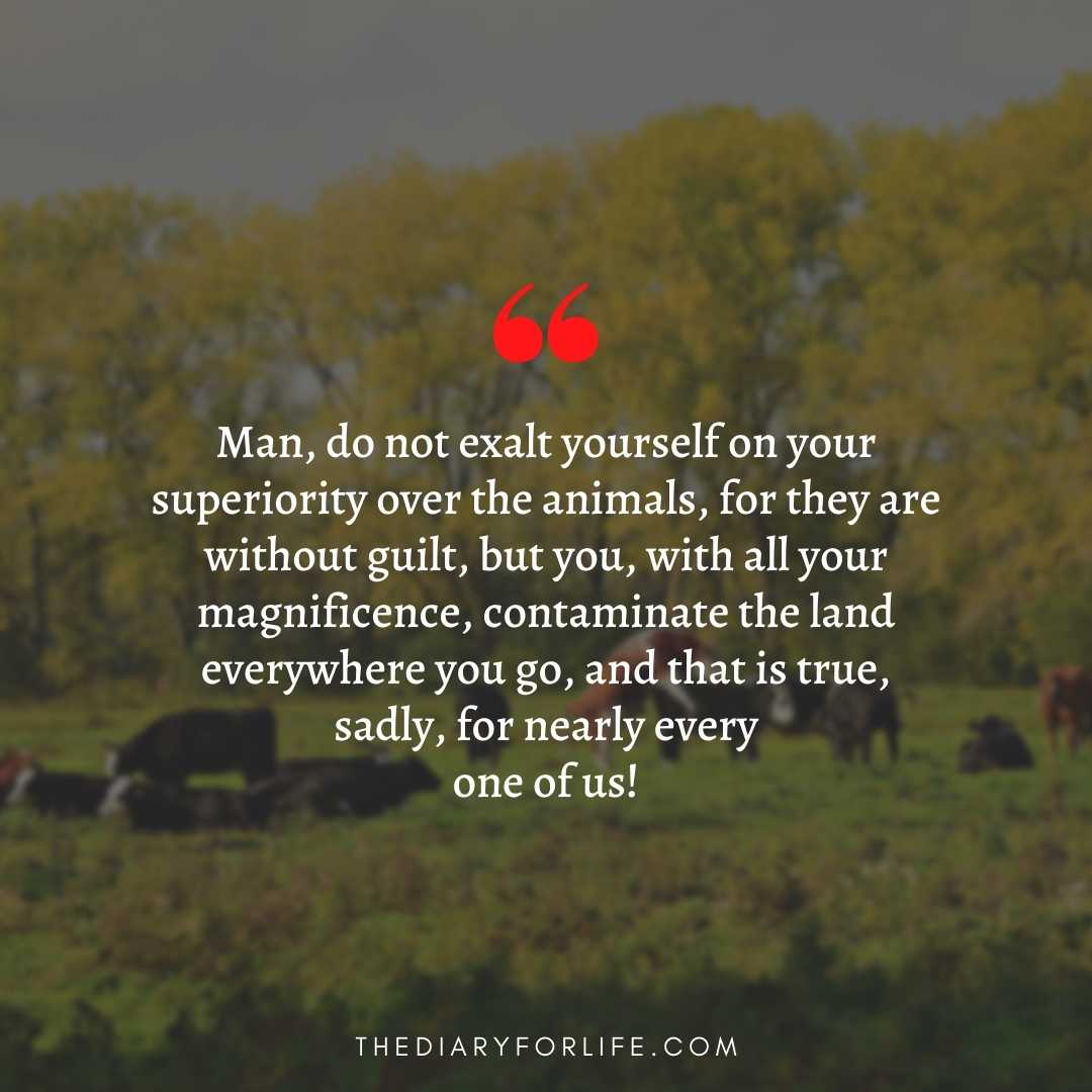 45+ Quotes About Animal Abuse To Stop Animal Cruelty