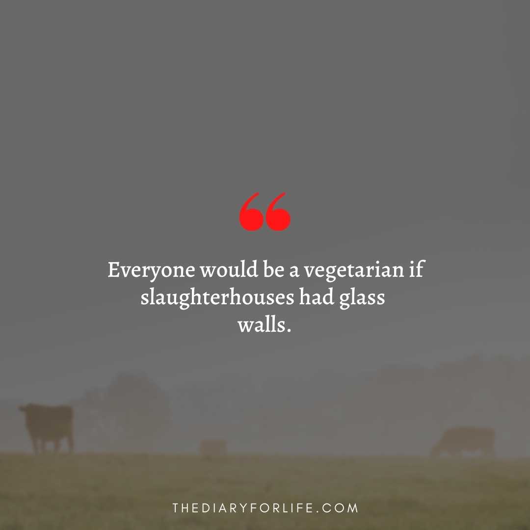 45+ Quotes About Animal Abuse To Stop Animal Cruelty