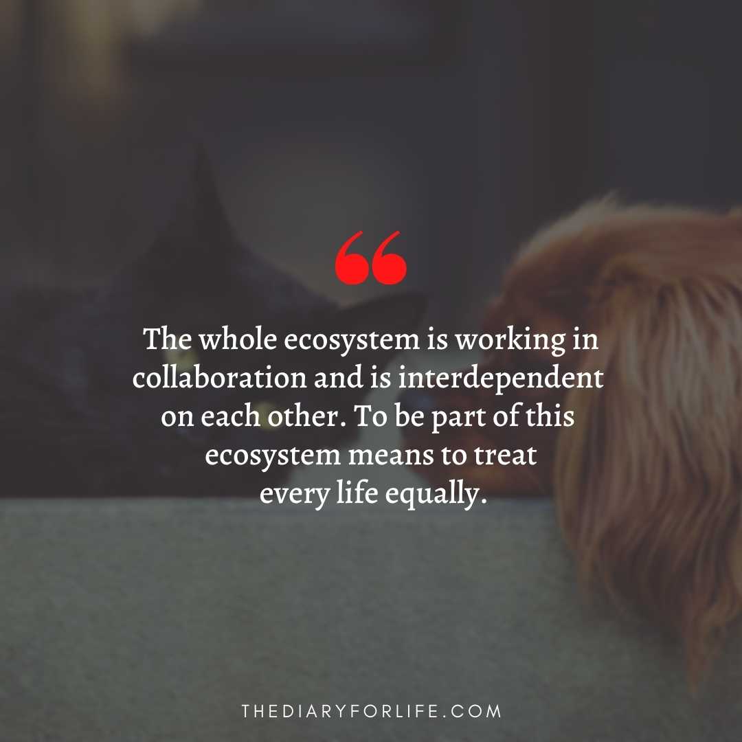 45+ Quotes About Animal Abuse To Stop Animal Cruelty