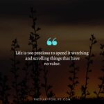 50+ Life Is Precious Quotes To Celebrate Each Moment