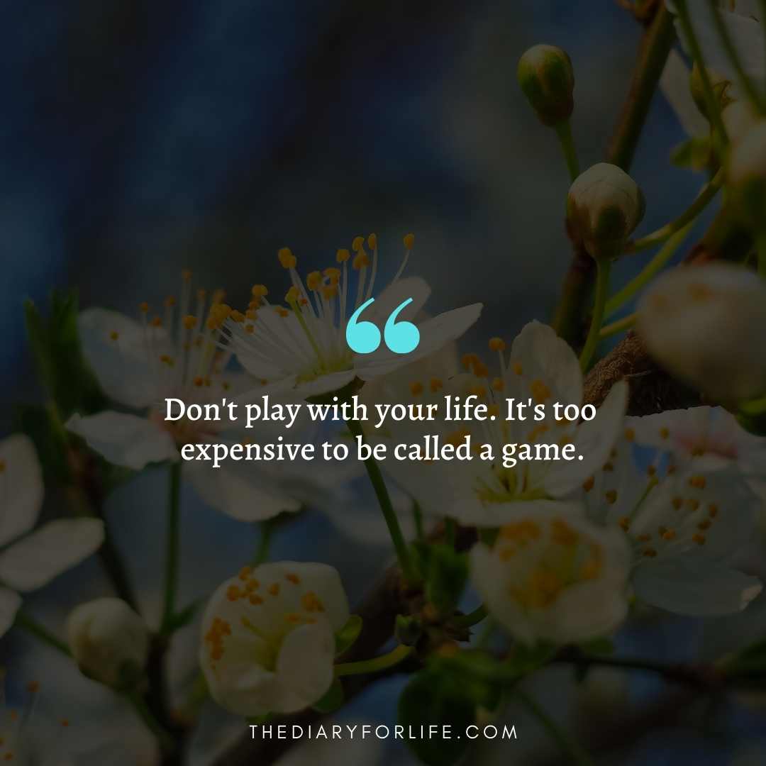 50+ Life Is Precious Quotes To Celebrate Each Moment