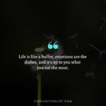50+ Life Is Precious Quotes To Celebrate Each Moment