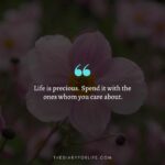 50+ Life Is Precious Quotes To Celebrate Each Moment