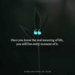 50+ Life Is Precious Quotes To Celebrate Each Moment