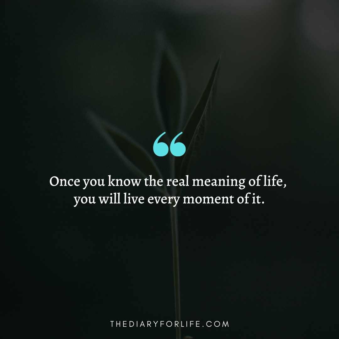 50+ Life Is Precious Quotes To Celebrate Each Moment