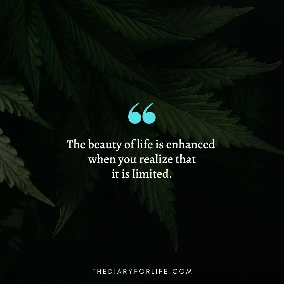 50+ Life Is Precious Quotes To Celebrate Each Moment