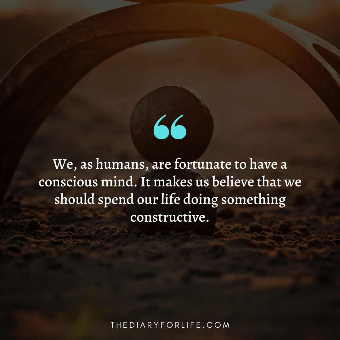 50+ Life Is Precious Quotes To Celebrate Each Moment