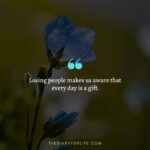 50+ Life Is Precious Quotes To Celebrate Each Moment