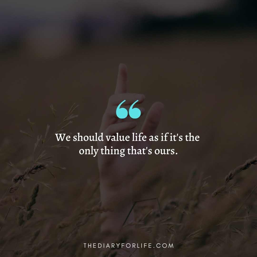 50+ Life Is Precious Quotes To Celebrate Each Moment