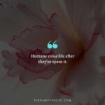 50+ Life Is Precious Quotes To Celebrate Each Moment