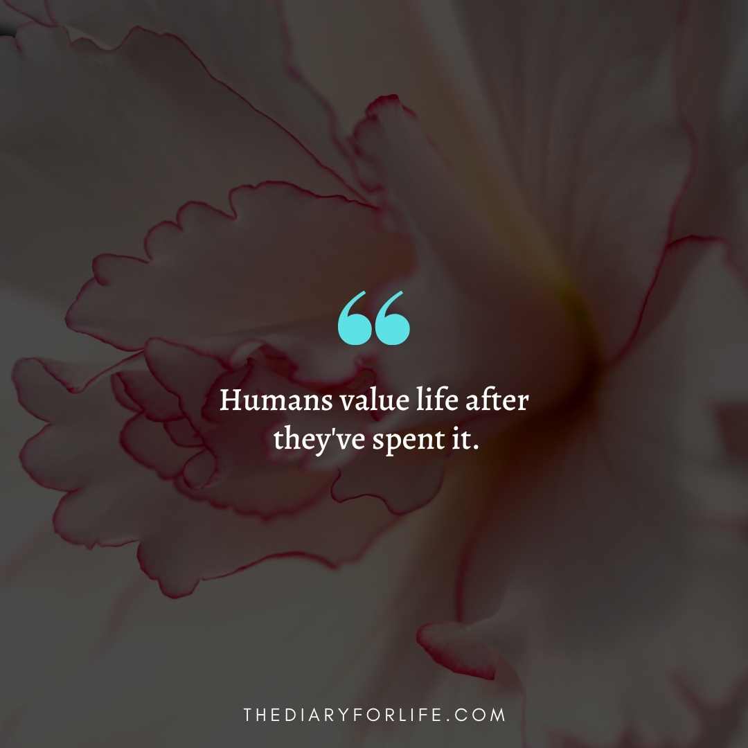 50+ Life Is Precious Quotes To Celebrate Each Moment