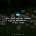 50+ Life Is Precious Quotes To Celebrate Each Moment
