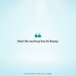 80+ Slow Down Quotes To Embrace Life - ThediaryforLife