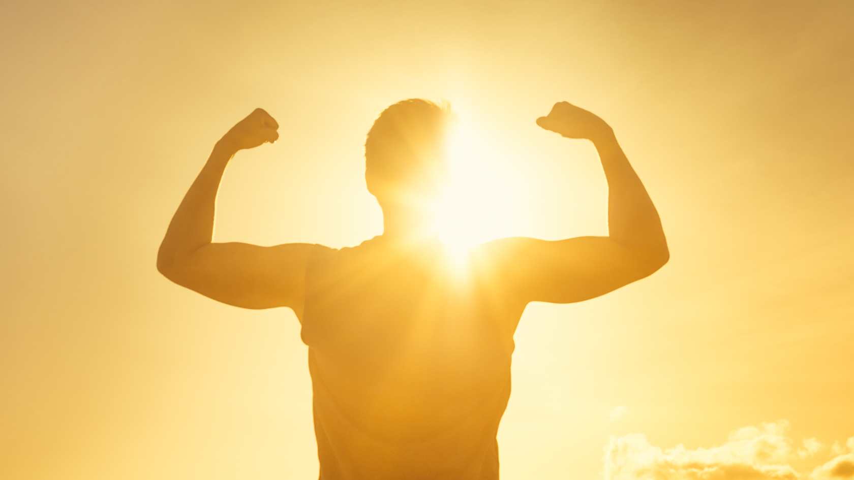 Sigma Male Vs Alpha Male: 11 Differences You Should Know