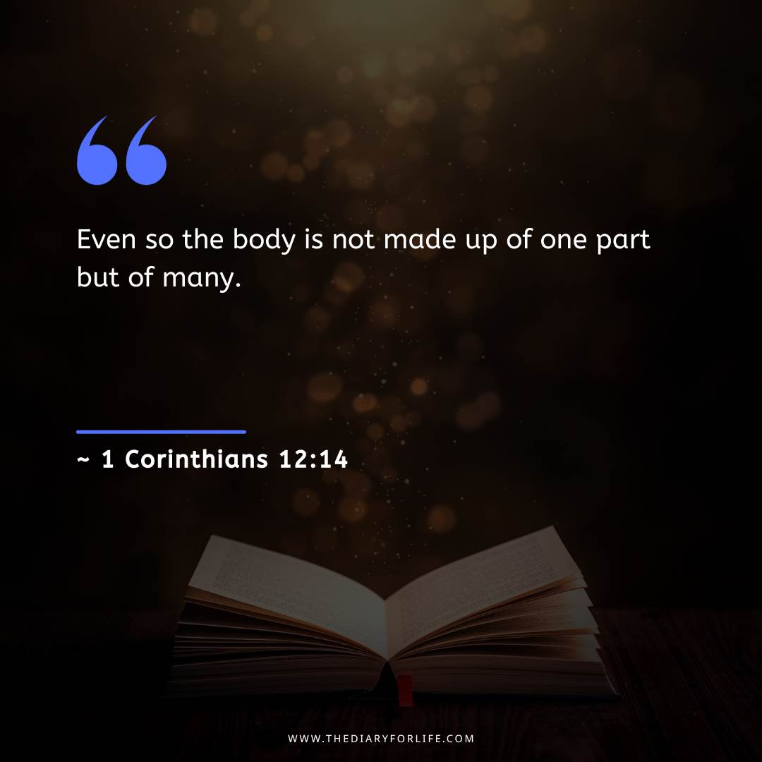 150+ Inspiring Bible Verses And Quotes You Must Read